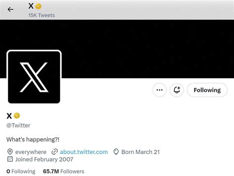 Elon Musk chasse loiseau bleu de Twitter remplacé par un X