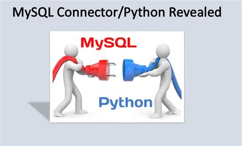 learn mysql connector python revealed pdf notes techringe