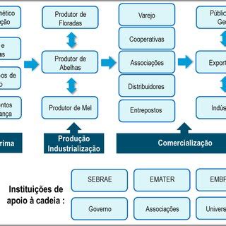 Esquema Geral Da Cadeia Produtiva Do Mel Fonte Adaptado De Lengler E