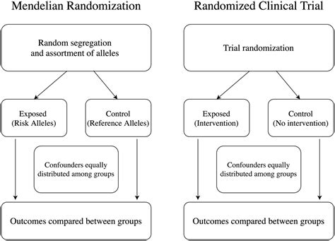 frontiers mendelian randomization in stroke a powerful approach to causal inference and drug