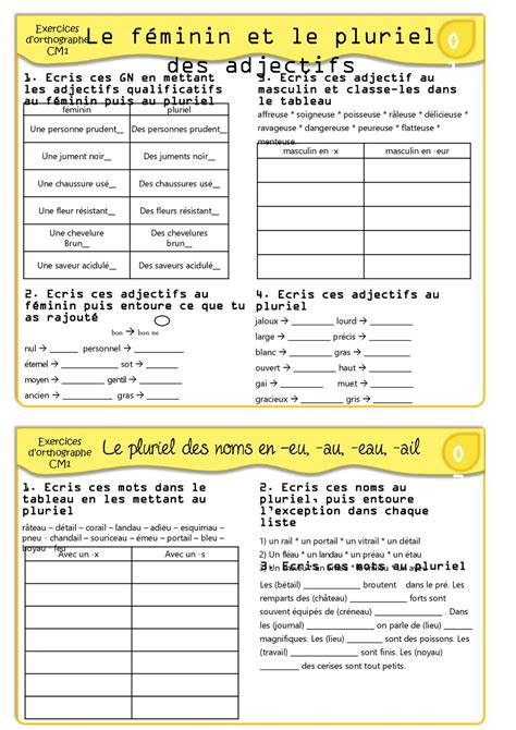 Risque Chou Chinois L Le Pluriel Des Noms Et Des Adjectifs Exercices