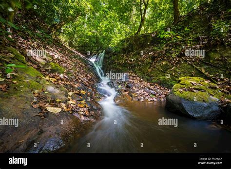 France Guyana Guyane Française Parc amazonien zone cœur Camopi l