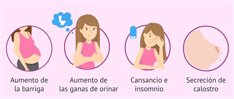 Síntomas en el segundo y tercer trimestre de embarazo