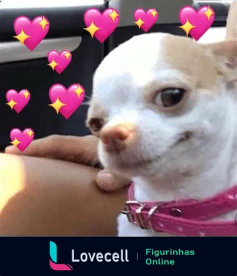 Figurinha Cachorro Sorrindo Amoroso Pasta Figurinhas Para Whatsapp
