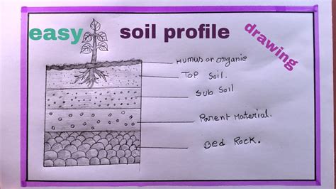 How To Draw Layers Of Soil How To Draw Soil Profile Soil Profile