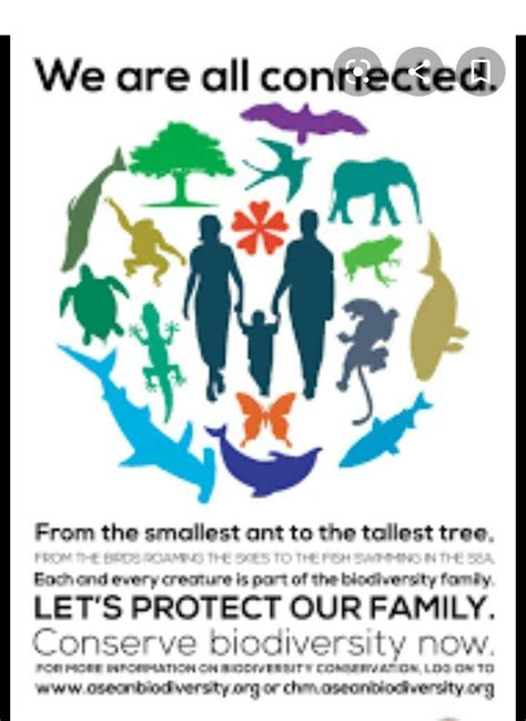 Biodiversity Poster Making Biodiversity Poster Making Art Faa