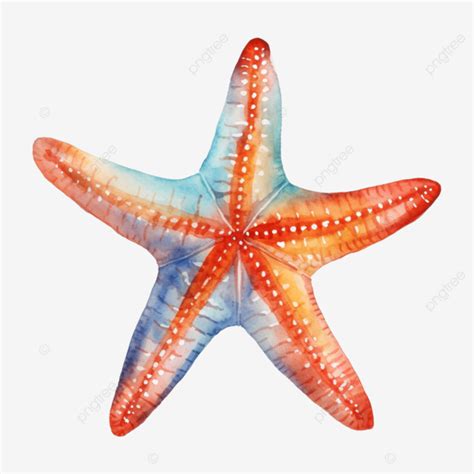 Clipart Aquarela Estrela Do Mar Gerado Por Ai Png Estrela Do Mar