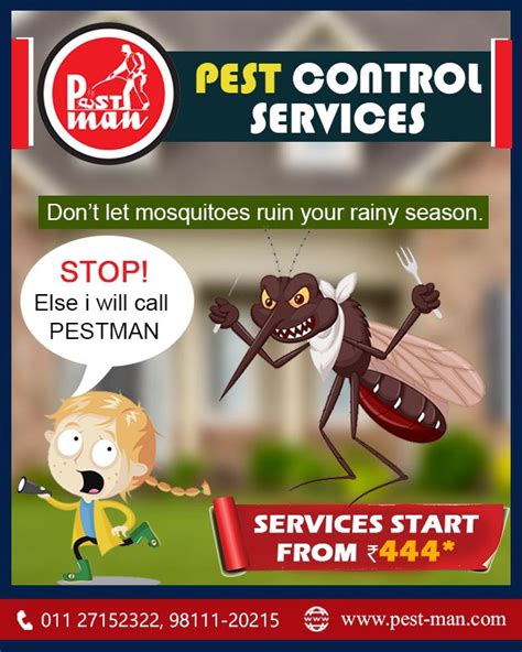 Don T Let Mosquitoes Ruin Your Rainy Season Book Pestmans Pest