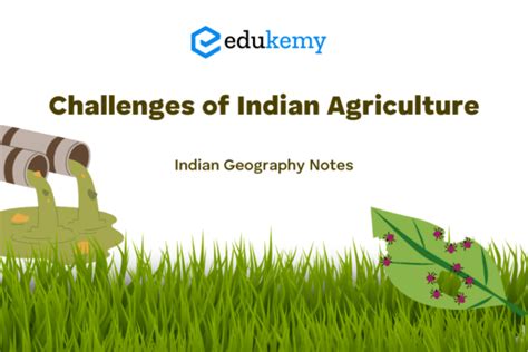 Major Crops In India And Cropping Patterns In India Upsc Indian