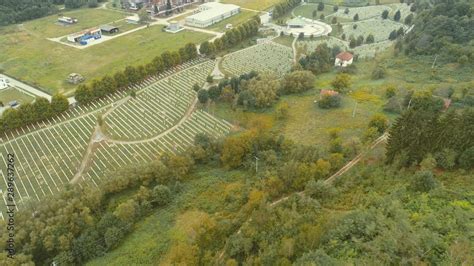 Srebrenica Potocari Bosnia And Herzegovina Flying Above The Graves Of