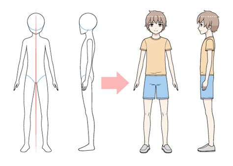 Top More Than Male Pose Anime Body Base Latest In Coedo Vn