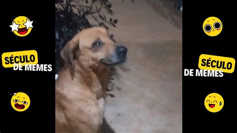 TENTE NÃO RIR NÍVEL HARD Memes videosengraçados tentenaorir YouTube