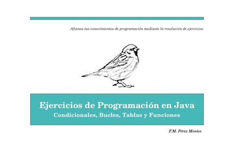 ejercicios de programación en java condicionales bucles tablas y funciones by wendy vila ochoa