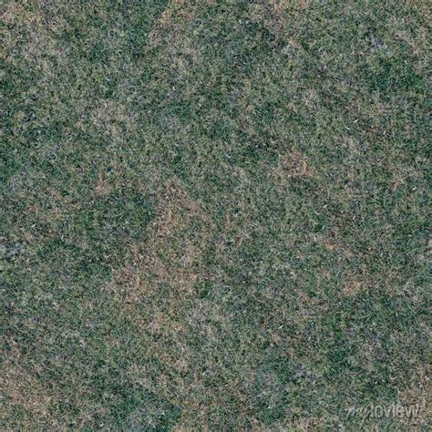 grass seamless texture material map for creating materials background posters for the wall