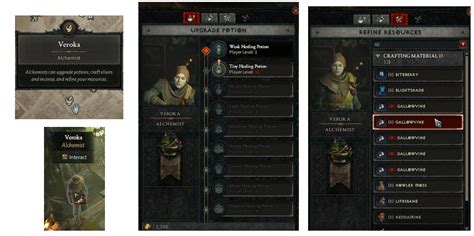Diablo 4 Alchemist