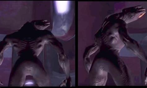 File Halo2NakedSangheiliBackview Halopedia The Halo Wiki