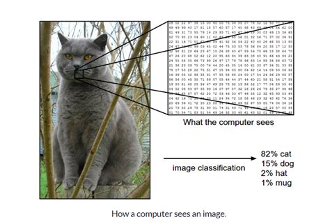 convolutional neural networks an intuitive approach part 1 laptrinhx