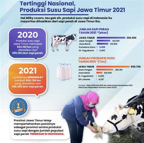 Jatim Sentra Produksi Susu Sapi Tertinggi Nasional