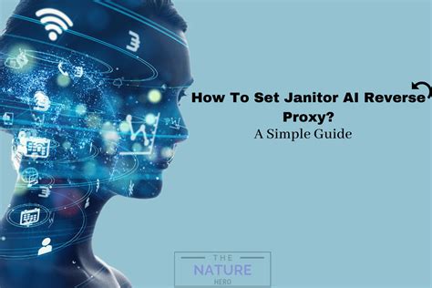 How To Set Janitor Ai Reverse Proxy A Simple Guide The Nature Hero