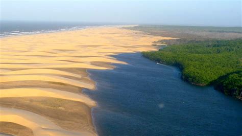 O Que Fazer No Delta Do Parna Ba Guia Completo