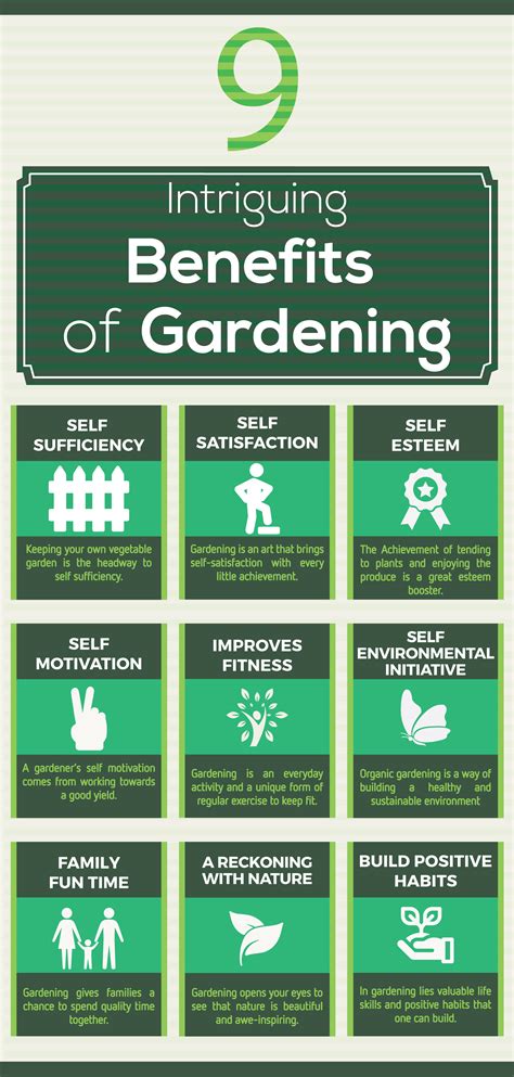 Infographic 9 Wonderful Benefits Of Gardening AGardenLife Garden