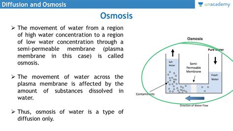 Osmosis Definition