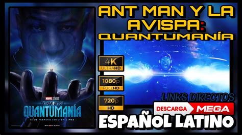 DESCARGAR la pelicula ANT MAN Y LA AVISPA QUANTUMANÍA spañol latino x