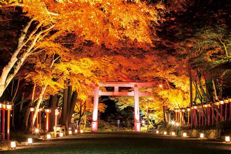 Naked Garden One Kyoto Naked Inc