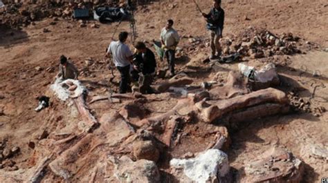 G1 Ossos de maior dinossauro já descoberto são achados na Argentina