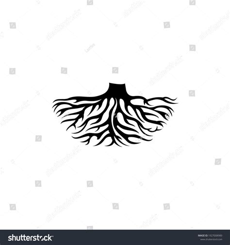 Creative Abstract Green Tree Roots Vector Stock Vector Royalty Free