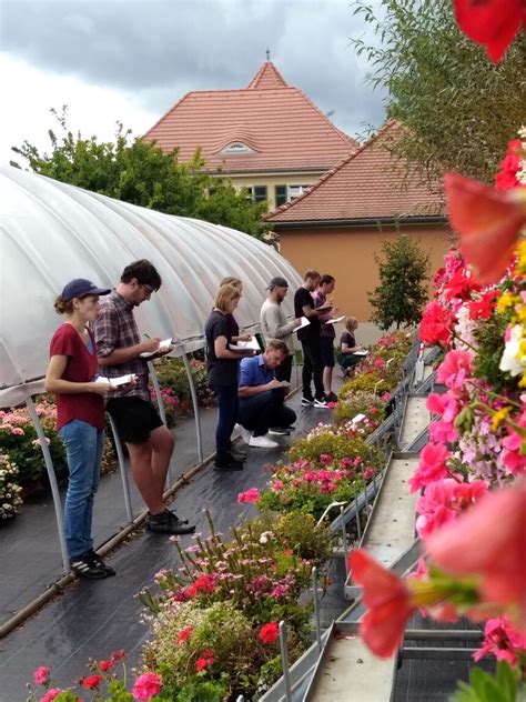 M Rz Tag Der Offenen T R Gartenbau Sachsen De