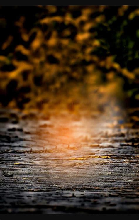Details 100 Background Blur Hd Wallpaper Abzlocal Mx