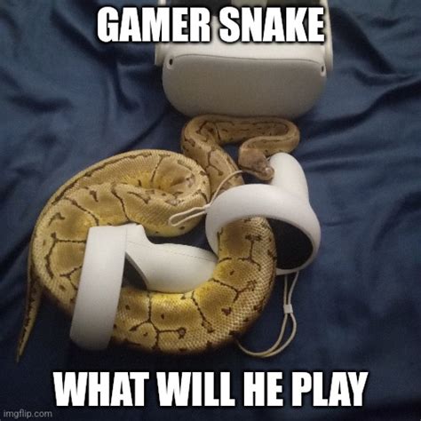 Mouse Catcher Imgflip