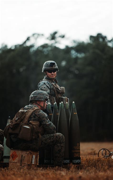 DVIDS Images 2 10 HIMARS And Artillery Live Fire Exercise Image 3