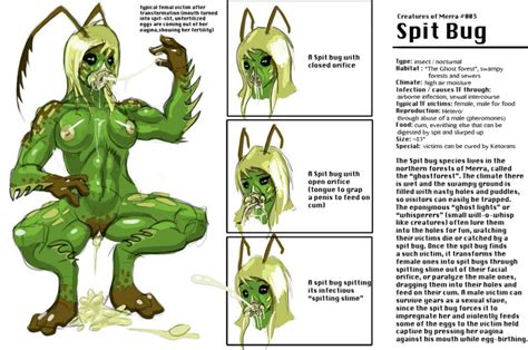 Spider Breeding Vore Hentai Telegraph