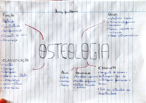 mapa mental osteologia Anatomia Veterinária I