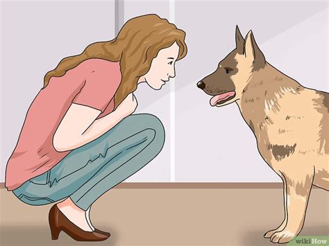 Cómo pasear a tu perro 12 Pasos con imágenes wikiHow