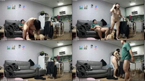 黑客破解网络摄像头偷拍 姐夫和小姨子趁着姐姐没回家在沙发上草逼小狗好奇抵近观阴 The AV Porn