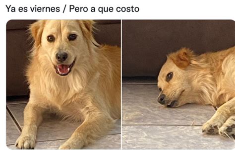 Viernes pero a qué costo Se burlan con memes del fin de semana