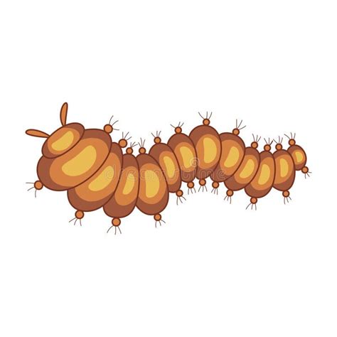 Oruga Naranja Insectos Hermosa Entomología Brillante Ilustración del