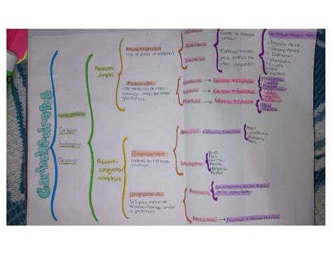 Bioquimica Carbohidratos RA UDocz