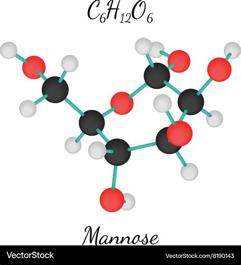 C6h12o6 Mannose Molecule Royalty Free Vector Image