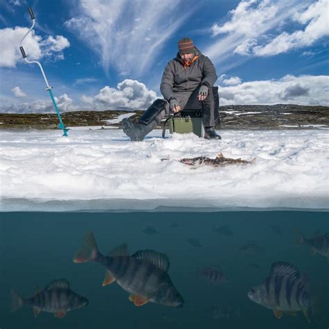 Pescador Do Gato No Gelo Nevado No Lago Acima Da Tropa De Peixes Da