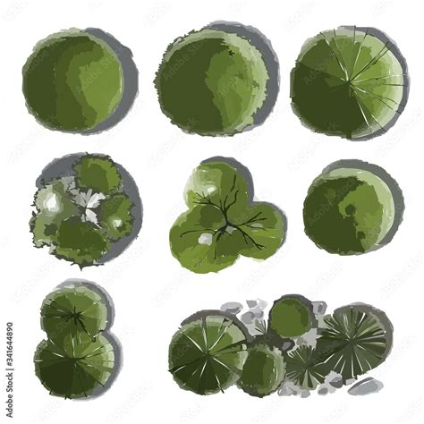Collection Of Abstract Watercolor Tree Top View Isolated