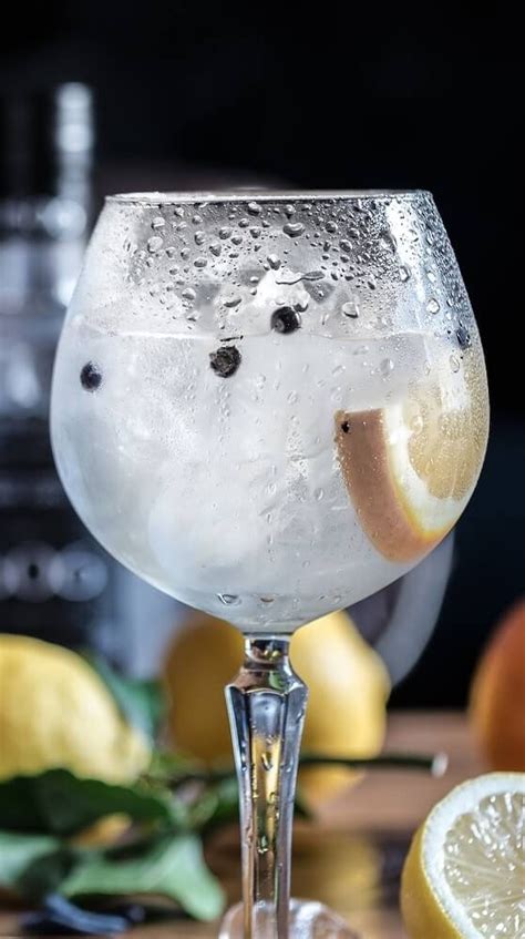 Como fazer o gin tônica perfeito veja dicas e receitas Receitas