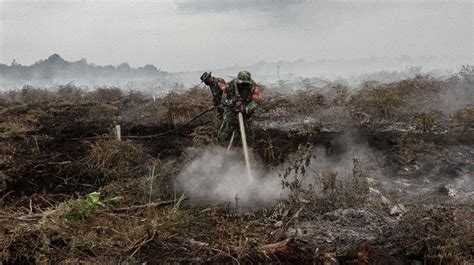 Hingga Oktober Lahan Gambut Terbakar Di Palangka Raya Capai Ratusan