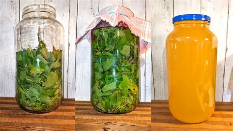 How To Easily Make Vinegar From Scratch With Only Water Sugar And Herbs