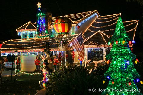 Thoroughbred Christmas Lights Nbc News 2024 Erena Jacenta