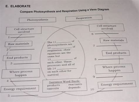 Compare Photosynthesis And Respiration Using A Venn Diagram Brainly Ph