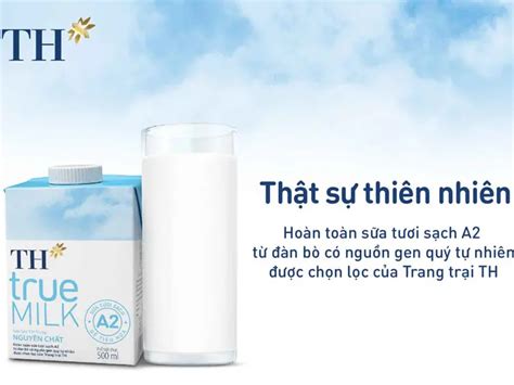 Chi tiết hơn 95 về mô hình 5m của th true milk coedo vn